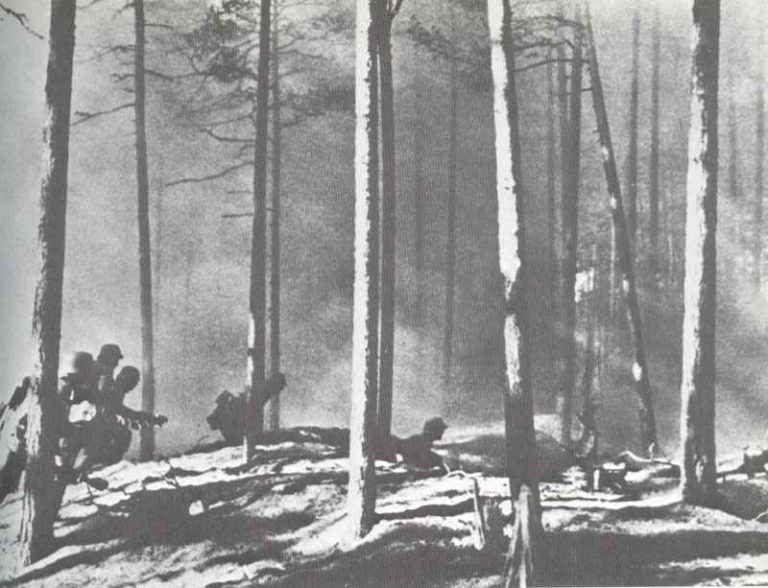 6. SS-Gebirgs-Division Nord - Weltkrieg2