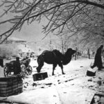 Wehrmacht Kriegsgliederung Januar 1943 und Schlacht von Charkow - Weltkrieg2